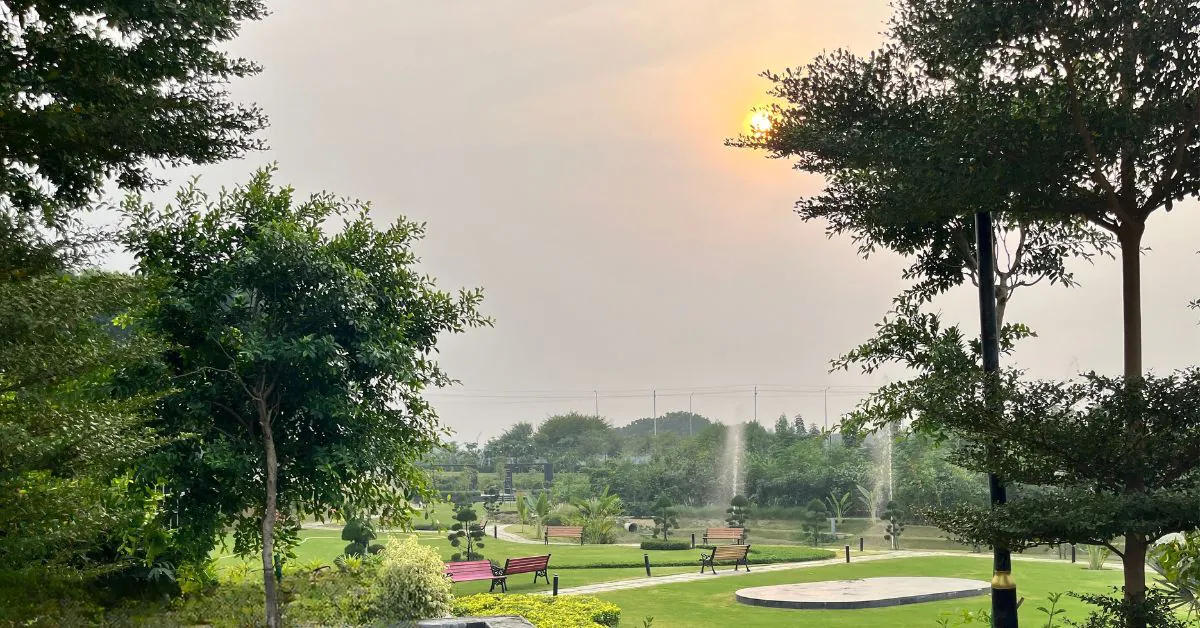 Inside Addverb’s Miyawaki Micro Forest At Bot-verse
